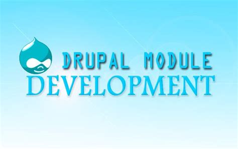 custom drupal 6 7 8 9 module development services