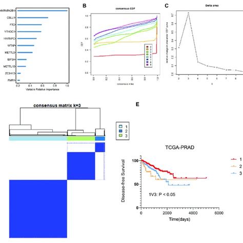 Identification And Consensus Clustering Analysis Of M6a Regulators