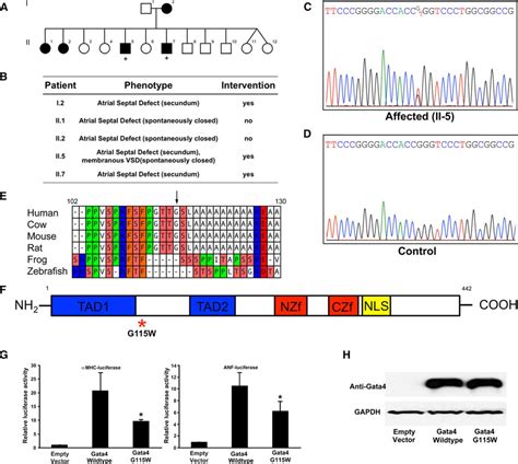 Utilization Of Whole Exome Sequencing To Identify Causative Mutations