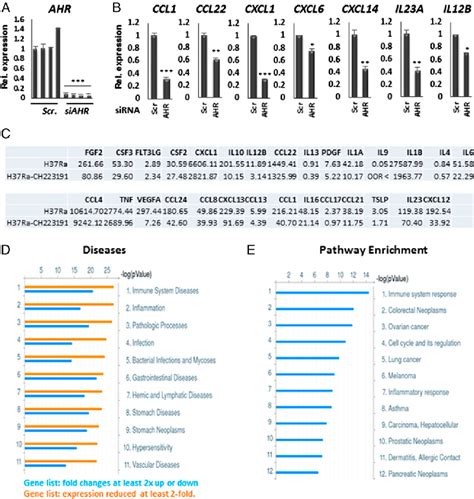 Comparative Gene Expression Profiling In Control And Ahr Depleted