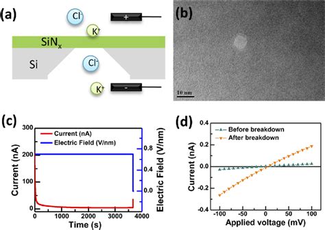 Illustration Of The Nanopore Fabrication Process A The Schematic