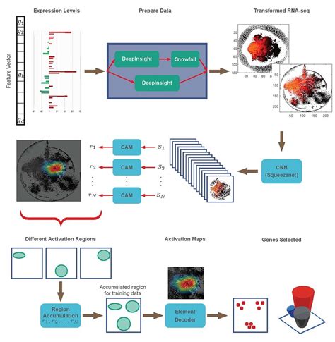 An Overall Deepfeature Procedure For Feature Selection Using Cnn S1 5