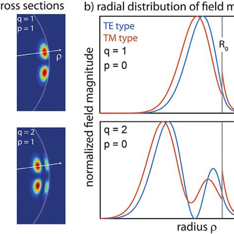 Spatial Form Of Wgms A Scalar Field Distribution For Te Type Modes