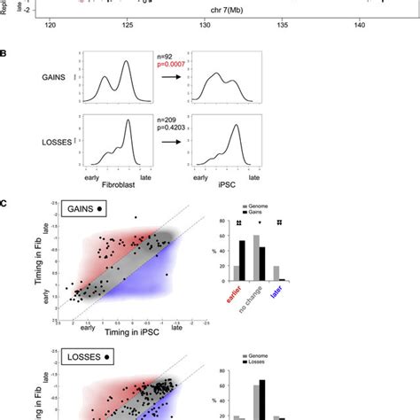 Reorganization Of Replication Timing Program During Reprogramming