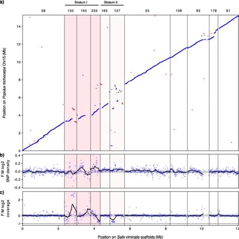 h pylori ss1 and pmss1 are gene copy number variable at the caga