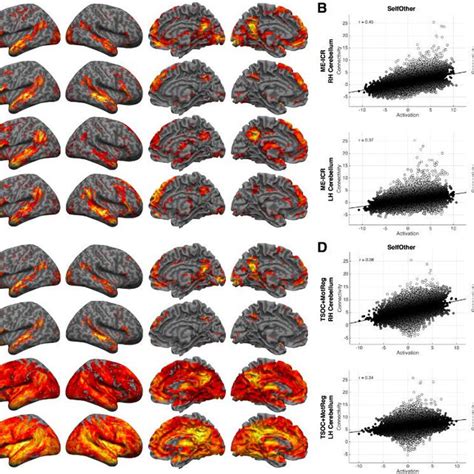 Resting State Functional Connectivity From Cerebellar Seed Regions And