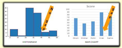 cbse informatics practices ip xii ip histogram