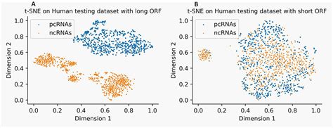 Frontiers Ncresnet Noncoding Ribonucleic Acid Prediction Based On A