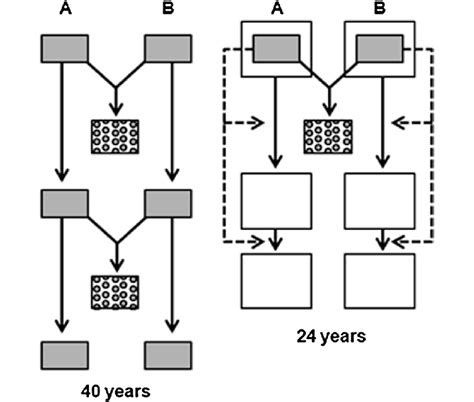 Reciprocal Recurrent Selection Rrs Left Versus Reciprocal Recurrent