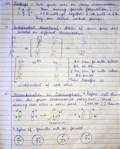 principles of inheritance and variation class 12 biology notes hot
