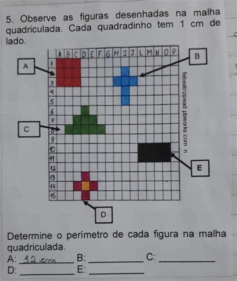 5 Observe As Figuras Desenhadas Na Malha Quadriculada Cada
