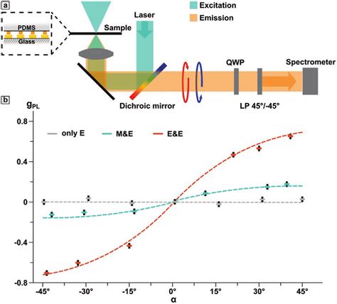 Measurement Of Polarized Photoluminescence A Experimental Setup Shows