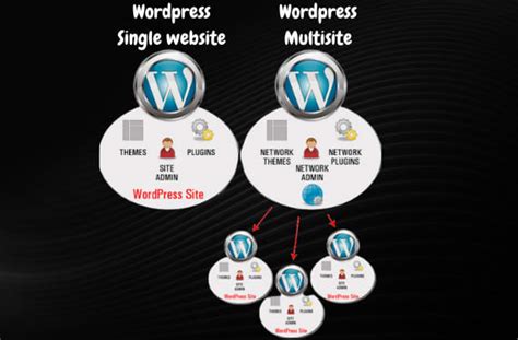 install wordpress multisite and setup subsite with theme by aman2331
