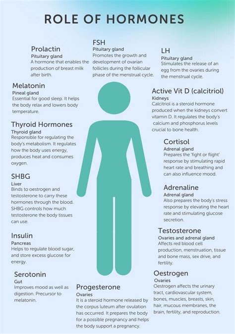 Understanding Hormonal Imbalances — Anne Craig Fitness