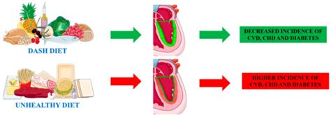 Nutrients Special Issue Featured Reviews On Nutrition To Optimise