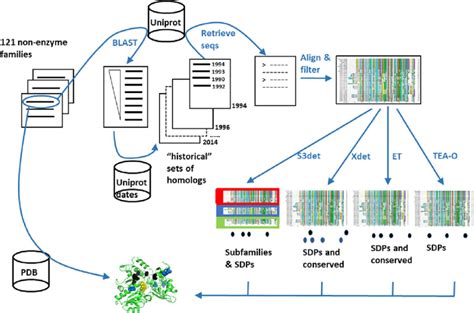 schema of the methodology a representative sequence is taken from each