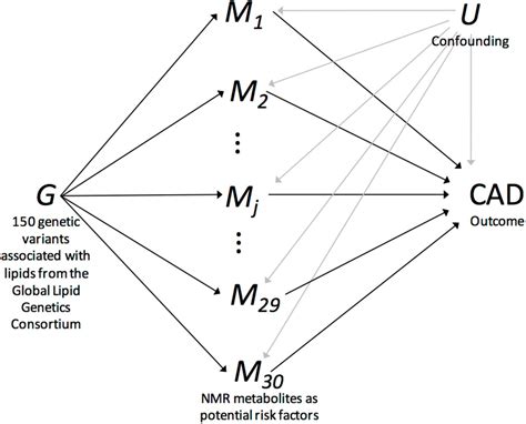 High Throughput Multivariable Mendelian Randomization Analysis