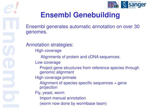 Ppt Ensembl Genome Annotation Overview Powerpoint Presentation Free
