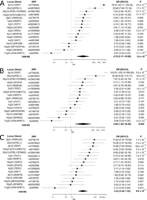 Forest Plot Showing The Effect Of Alleles Associated With Longer