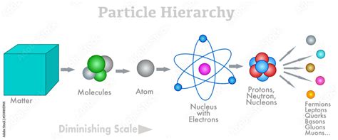 Quarks And Hadrons Diagram