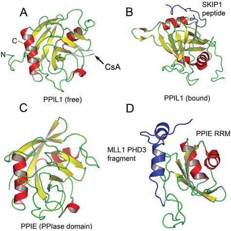 Biomolecules Special Issue Rna Binding Proteins—structure Function