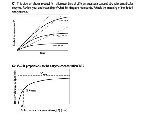 Solved Q1 This Diagram Shows Product Formation Over Time At