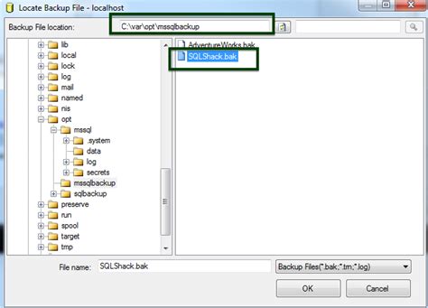 migrate an sql database from windows to linux using backup and restore
