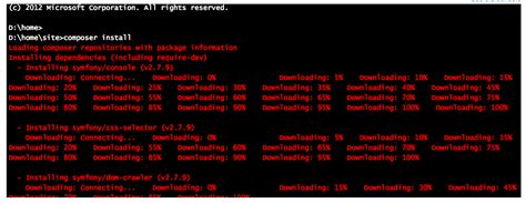 laravel php artisan optimize times out only on composer
