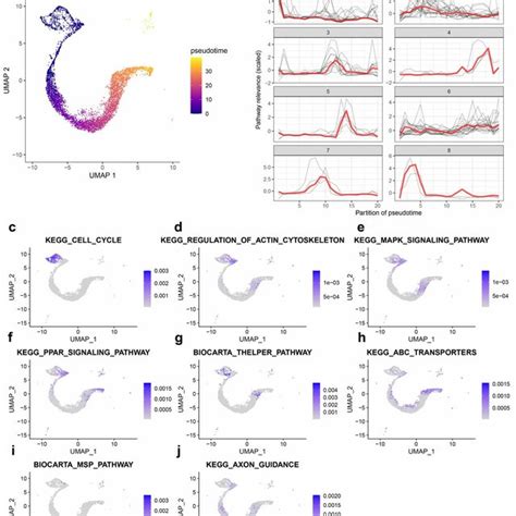 Applying Gsdensity To Single Cell Trajectory Analysis Reveals