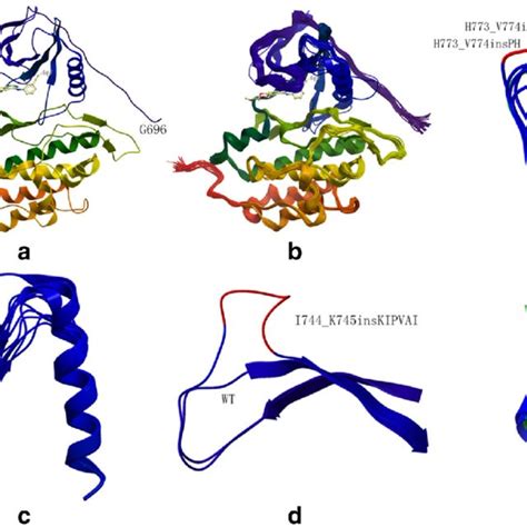 Selected Egfr Mutations And Their Corresponding Drug Sensitivity To