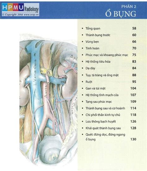 Xquang Hình ảnh Giải Phẫu ổ Bụng Á Đông Clinic