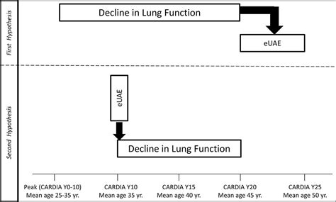 rapid decline in lung function in healthy adults predicts incident