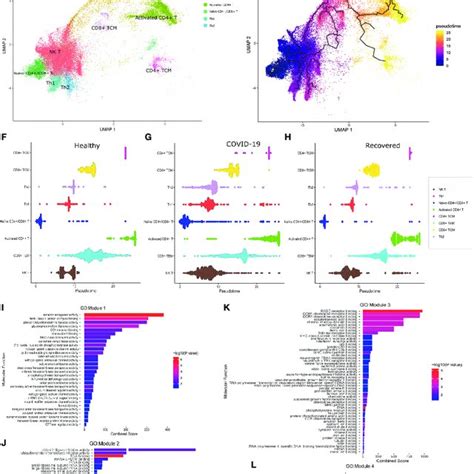 T Cell Specific Surface Marker Expression And Pseudotime Analysis