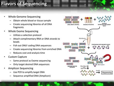 High Throughput Sequencing Technologies On The Path To The 0 Genome