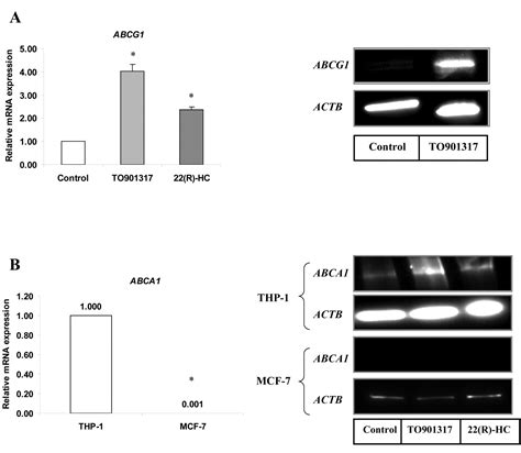 Lxr Agonists And Abcg1 Dependent Cholesterol Efflux In Mcf 7 Breast