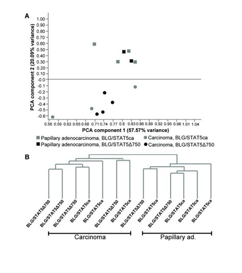 Principal Components Analysis Pca And Unsupervised Hierarchical