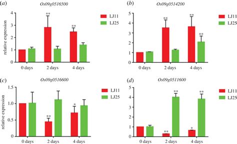 Quantitative Real Time Pcr Based Validation Of The Relative Expression