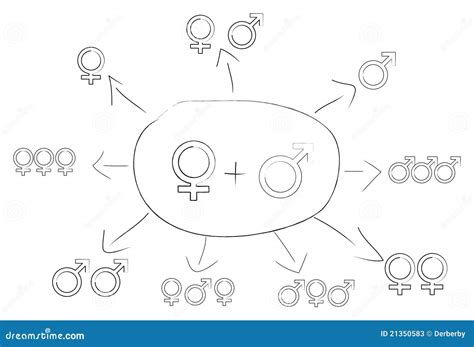 Scheme Of Sex Stock Illustration Illustration Of Isolated 21350583