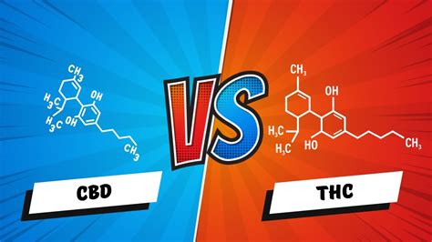 Thc Vs Cbd What Is In Your Cannabis What Are The Similarities