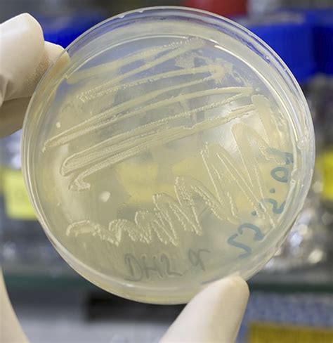 Microbiological Environmental Monitoring Services Tss
