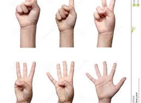 Hand Gesture Recognition Shangeth