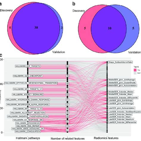 Hallmark Pathways With Significant Imaging Correlation Were Highly