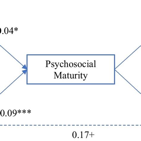 Of Significant Direct Effects Unstandardized Effects Solid Lines