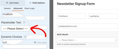 how to add placeholder text to a form field