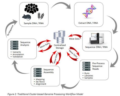 High Throughput Genomic Sequencing Workflow Insidehpc