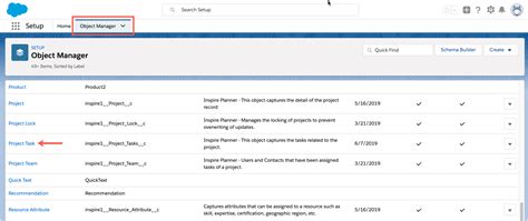 add custom project task fields as columns in project interface