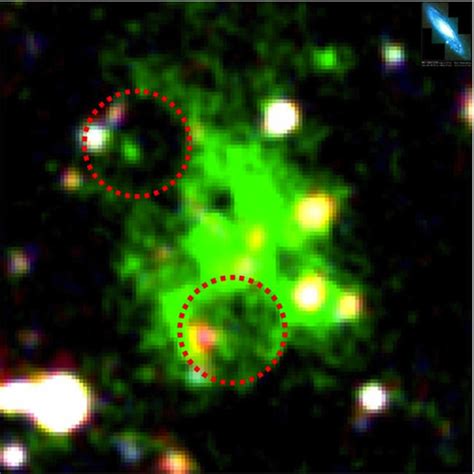 lyman alpha blobs are some of the largest individual objects in the