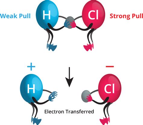 Electronegativity — Lesson Science State Board Class 10