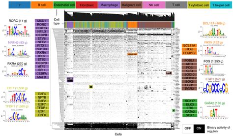 A Scalable Scenic Workflow For Single Cell Gene Regulatory Network