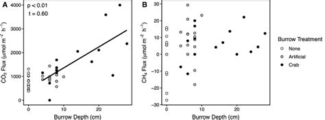 Co2 A And Ch4 B Fluxes As A Function Of Burrow Depth In Each Burrow